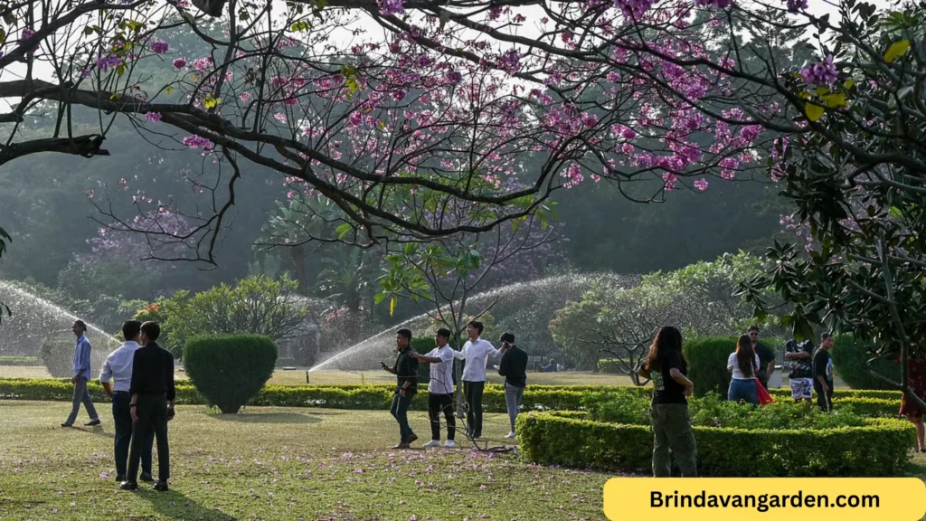 Cubbon Park Flower Show Ticket Price Guide 2026 Today - Brindavan Garden