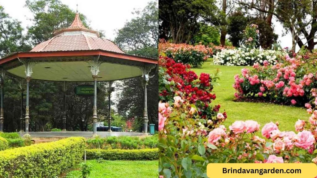 Flower Show in Cubbon Park 2026 Dates & Timings Today - Brindavan Garden